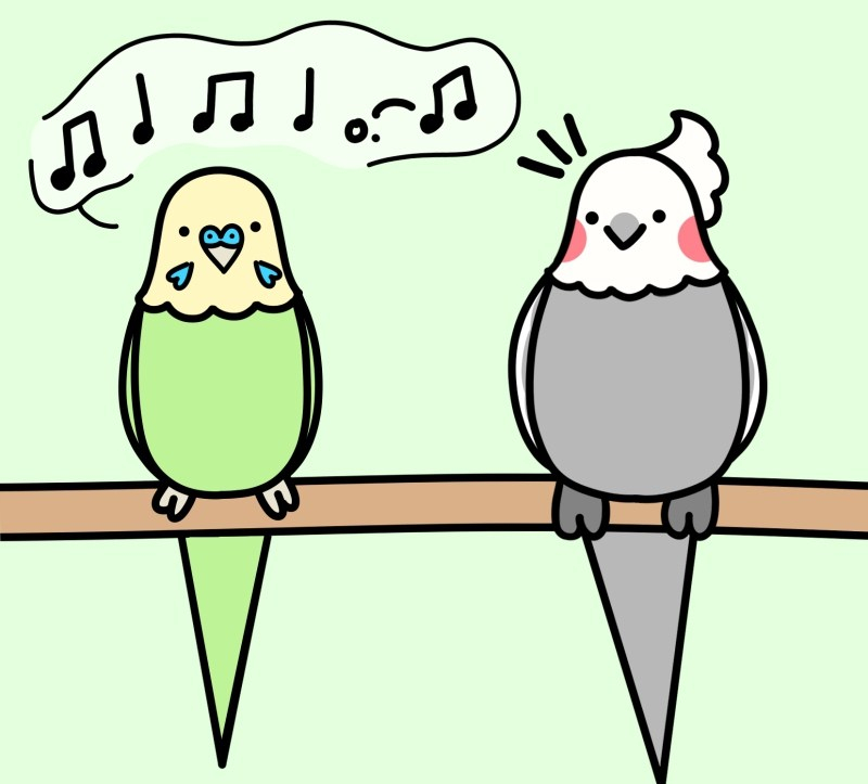 I can sing louder than you: It’s A Birb Thing – The Roost