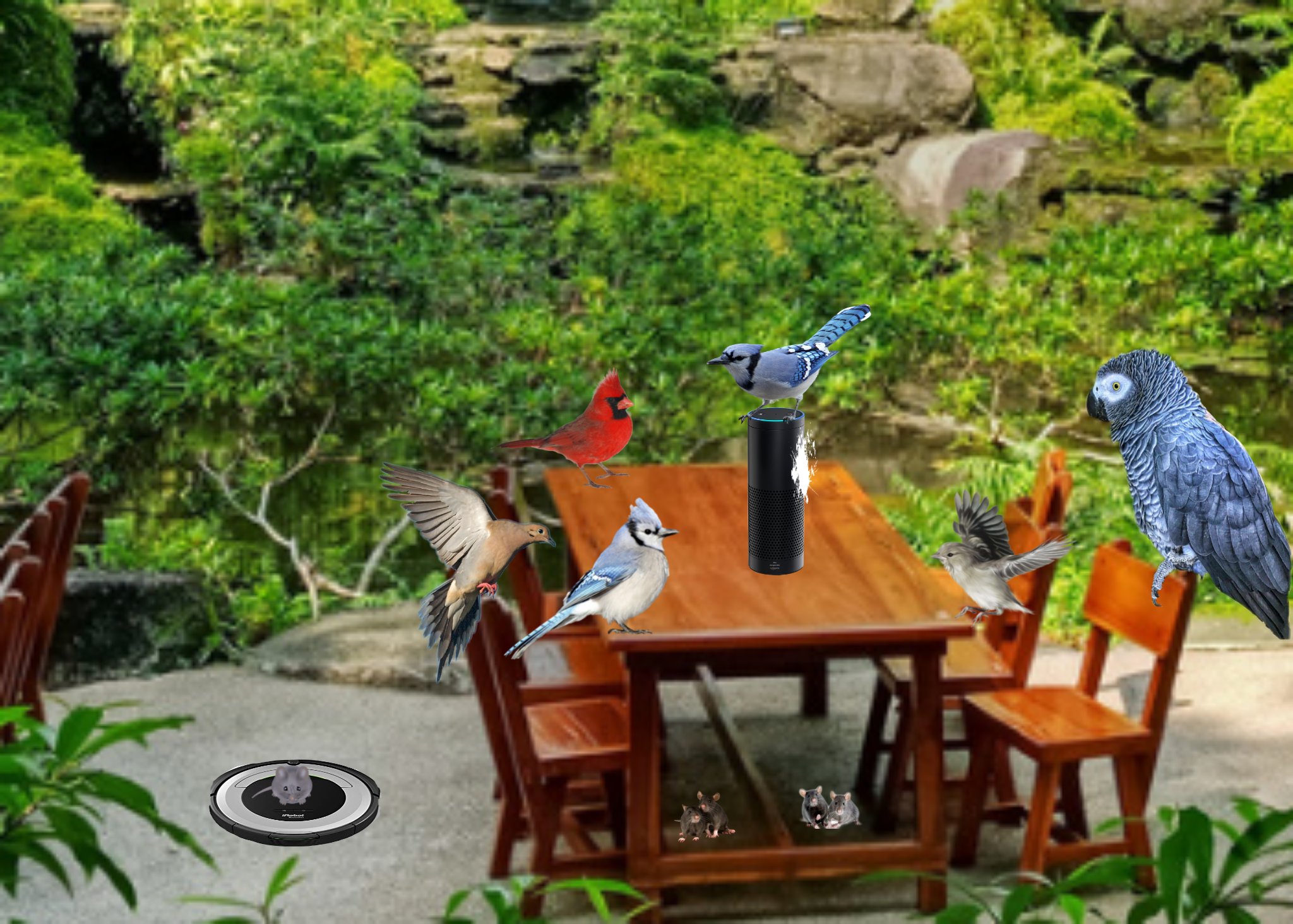 Alexa’s Latest Conspiracy Theory: Beneath the Cage Grate – The Roost
