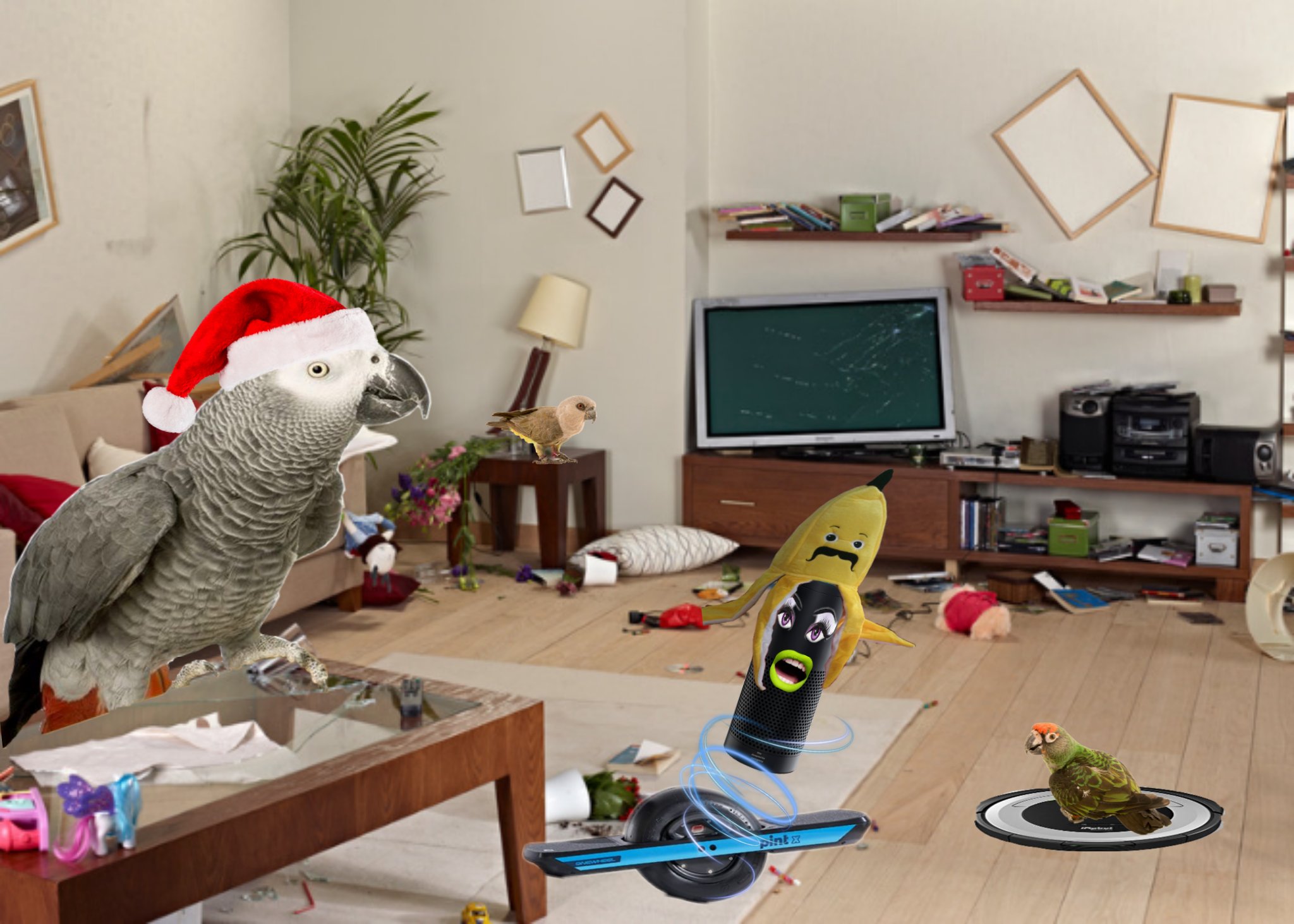 Christmas’s Aftermath at Morty’s House: Beneath the Cage Grate – The Roost