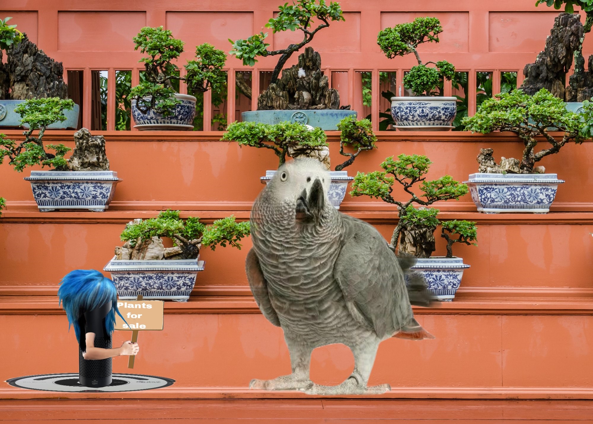 Bonsai Birdie: Beneath the Cage Grate – The Roost