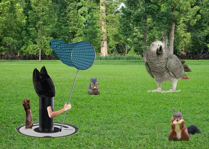 Hey Roomba, Let’s Go Huntin’ Squirrels: Beneath the Cage Grate – The Roost
