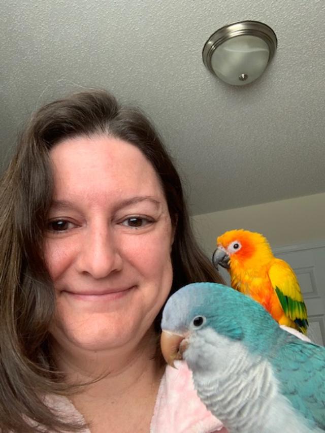 Joyful Noises: Feathered Frenzy – The Roost